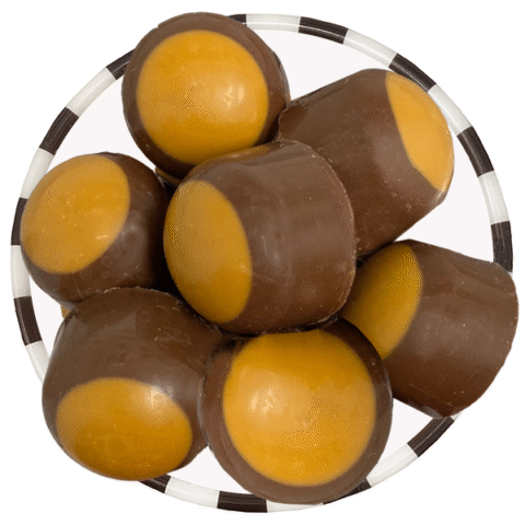 Premium Chocolate | Droolin' Moose Twin Cities Gourmet Chocolate